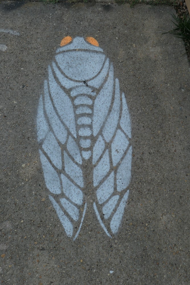 City Walks — Bugs – DeadSplinter