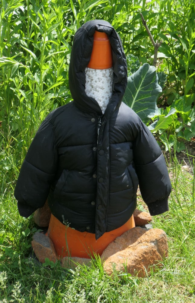 City Walks — Mutants – DeadSplinter