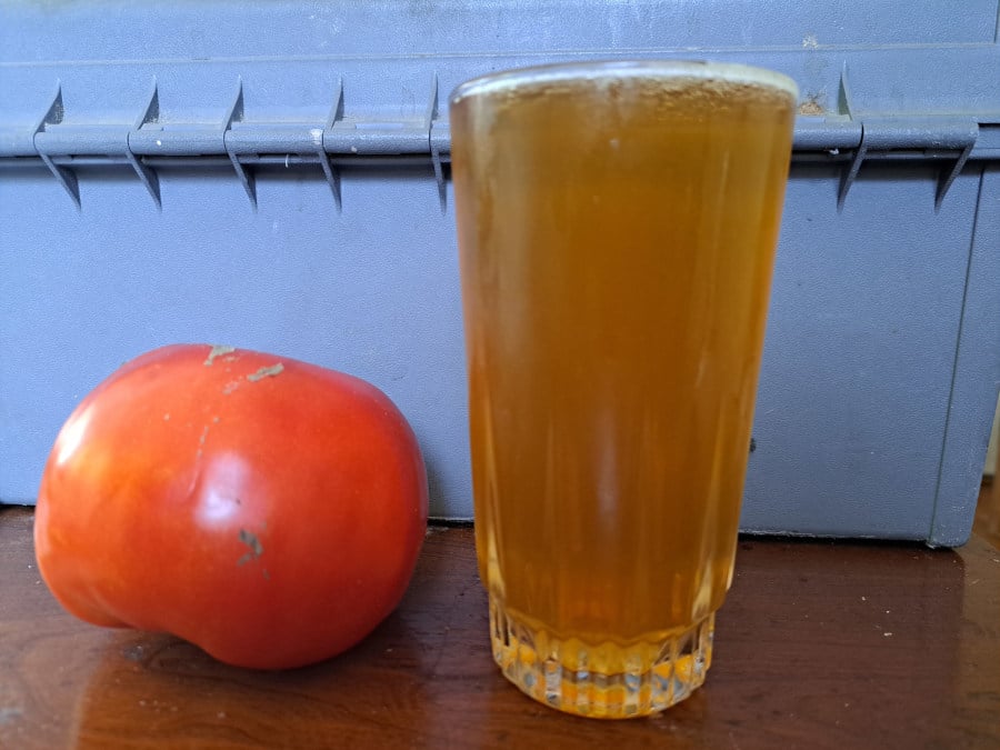 “Beer” Review – Athletic Run Wild IPA – DeadSplinter