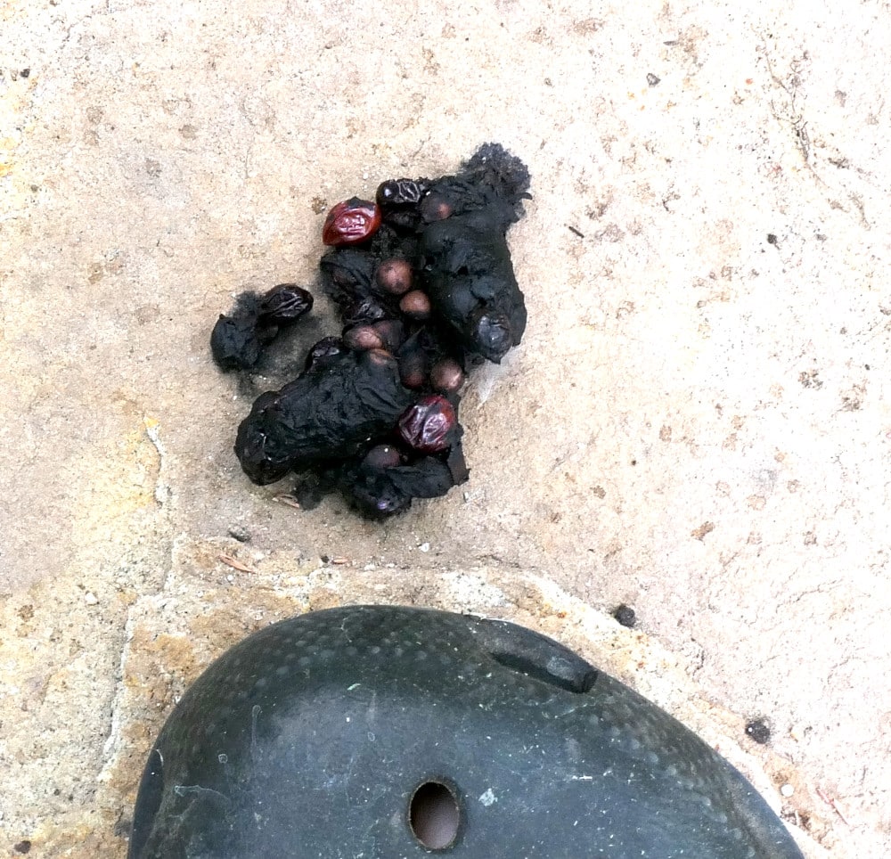 City Walks – Signs – DeadSplinter