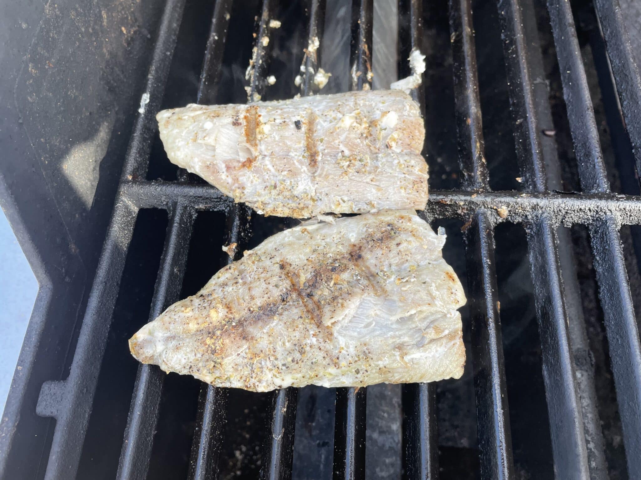Food You Can Eat: Grilled Bluefish – DeadSplinter